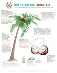 Using Coconut With Recipes and Foods - Coconut Coalition of the Americas